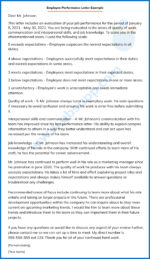 Employee Performance Letter - Format, Tips, Sample, Examples, and More ...